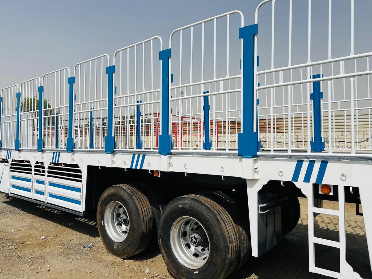 "UAE free zones for trailer export"